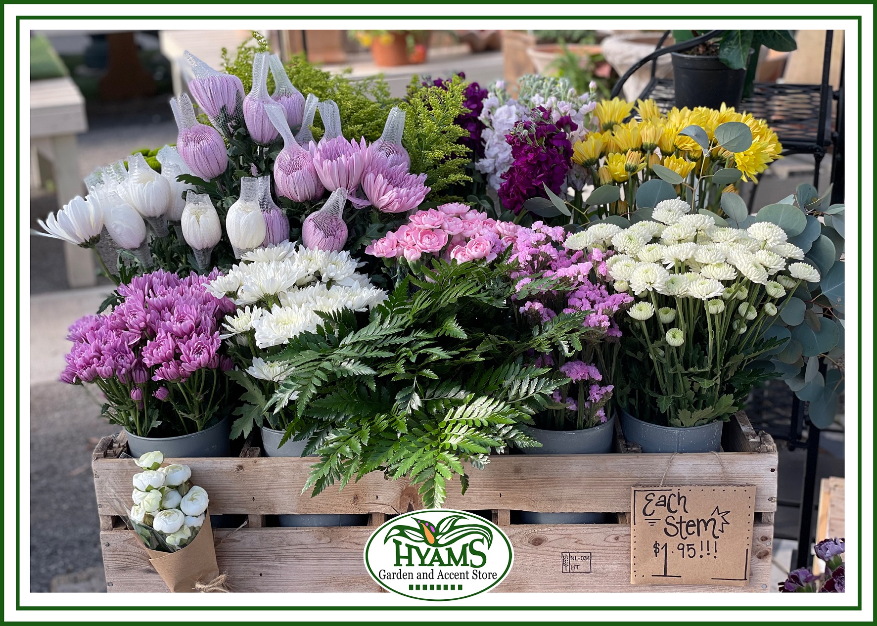 Fresh Cut Flowers